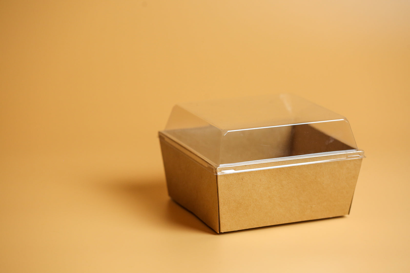 Take out Box – PaperAnd PH